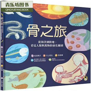 预售 骨之旅从海洋到陆地 看见人类与万物的演化关系 小熊