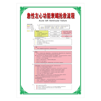 医院制度急救程序挂图过敏性休克抢救流程图示意图墙贴纸WSB169 WSB169-30 80*120cm  PP覆膜贴纸