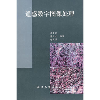 遥感数字图象处理【正版可开发票】