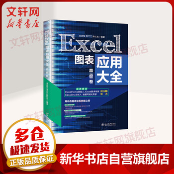 Excel图表应用大全 高级卷