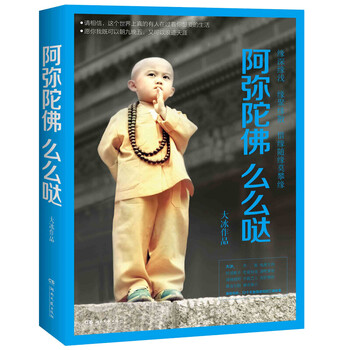大冰作品集4册 大冰的书 小孩+阿弥陀佛么么哒+啊2.0+乖摸摸头2.0 大冰江湖故事系列 阿弥陀佛么么哒