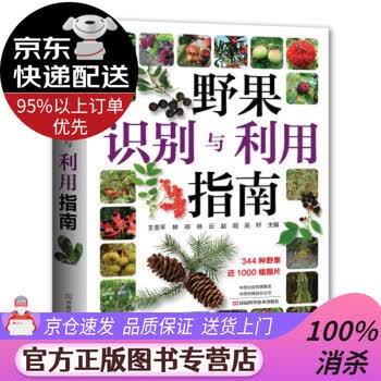 【新华书店 图书正版】野果识别与利用指南 王亚平,林祁,林云,赵阳,吴轩 编 河南科学技术出版社