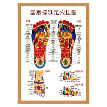 中医养生按摩国家标准足穴挂图脚底足部反射区宣穴位图传画WSA WSA48 国家标准足穴挂图 70x100cm  PP覆膜贴纸