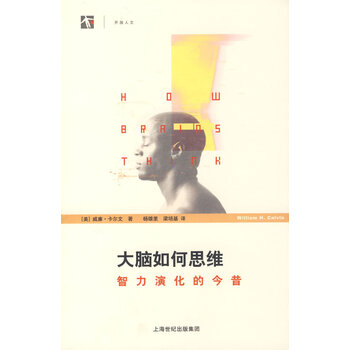 大脑如何思维:智力演化的今昔