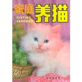 家庭养猫