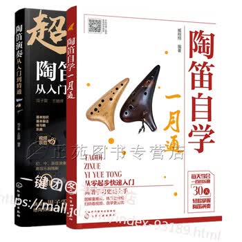 正版2册 陶笛自学一月通+陶笛演奏从入门到精通 初中高级演奏技巧基础练习曲教材教程考级曲谱 12孔陶