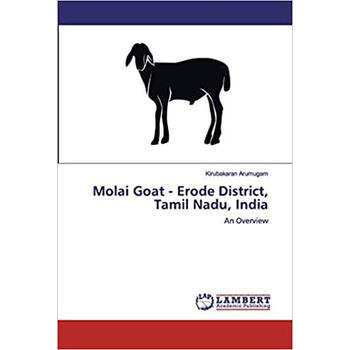 Molai Goat - Erode District, Tamil Nadu, India