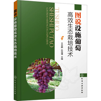 图说设施葡萄高效生态栽培技术 图书