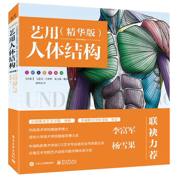 艺用人体结构（精华版）