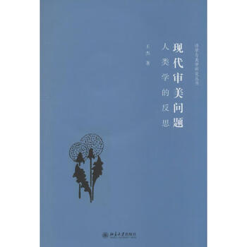 现代审美问题 王杰  书籍