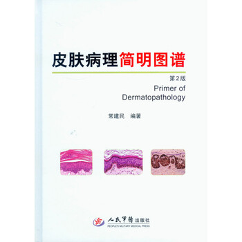 皮肤病理简明图谱