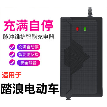 HKNL适用踏浪电动车车充电器48V12AH20ah60V72V30AH64V电车三轮 48V12AH T型通用孔【图片 价格 品牌 报价】-京东