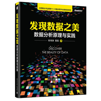 [正版图书] 发现数据之美:数据分析原理与实践 彭鸿涛, 聂磊著 电子工业出版社 978712123