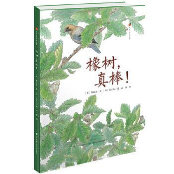 亲近自然生态绘本:橡树，真棒！【正版图书，放心下单】