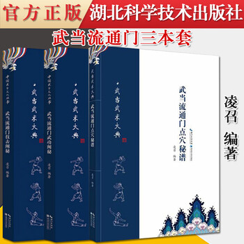 3本装 武当流通门点穴秘谱+武当流通门技法阐秘+武当流通门武功阐秘 武术武功体育健身男女健身防身术
