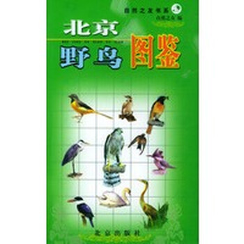 北京野鸟图鉴