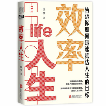 效率人生（告诉你如何迅速抵达人生的目标）