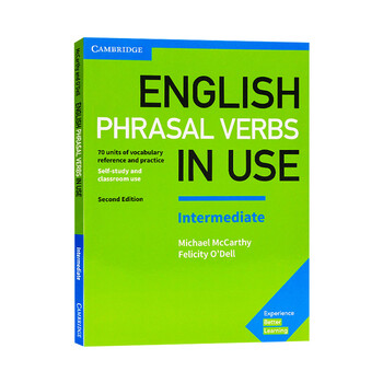 英文原版 剑桥中级英语短语动词 English Phrasal Verbs in Use Inter