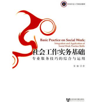 正版图书 社会工作实务基础:专业服务技巧的综合与运用 童敏 社会科学文献出版社 9787509700