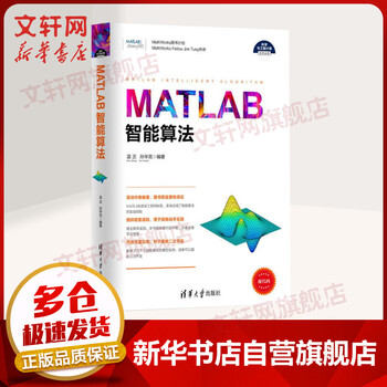 MATLAB智能算法
