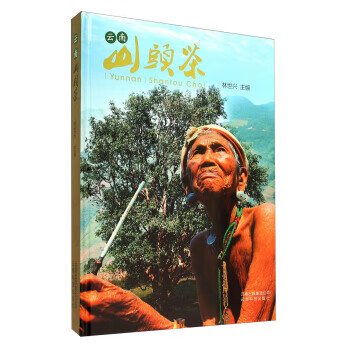 云南山头茶 林世兴【正版书】