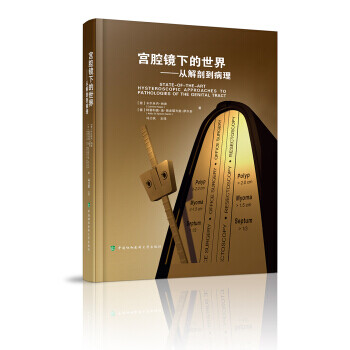 宫腔镜下的世界-从解剖到病理 CarmineNappi,AttilioDiSpiezioSardo