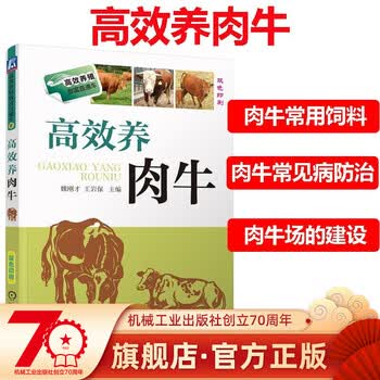 【官方正版】高效养肉牛 魏刚才 养牛技术大全书籍 肉牛养殖技术书籍 科学饲养肉牛 高效健康养殖关键技术牛 牛病防制疾病预防与防治养牛技术大全