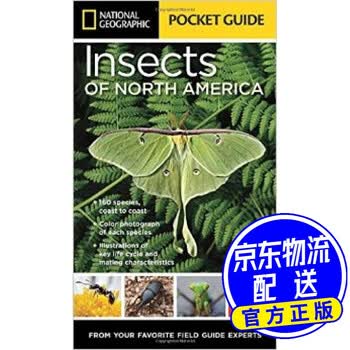国家地理昆虫指南 原版图书