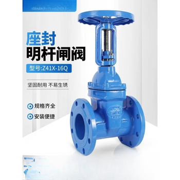 球墨铸铁弹性座封明杆软密封闸阀Z41X/RRHX-16/25Q给排水 A型DN200【图片 价格 品牌 报价】-京东