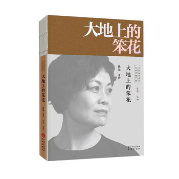 大地上的笨花/文学里的中国当代经典书系 铁凝