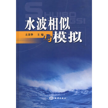 水波相似与模拟 左其华