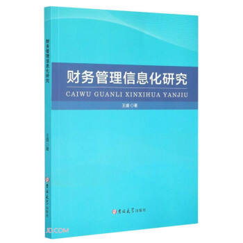 财务管理信息化研究 王盛