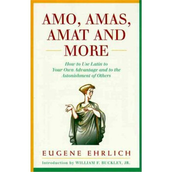 Amo, Amas, Amat and More
