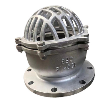 觅莱304不锈钢法兰底阀H42W-16P 316L抽水海底阀PN25 DN50 65 80 100 【201材质PN16 】 DN100【图片 价格 品牌 报价】-京东