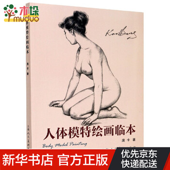 人体模特绘画临本