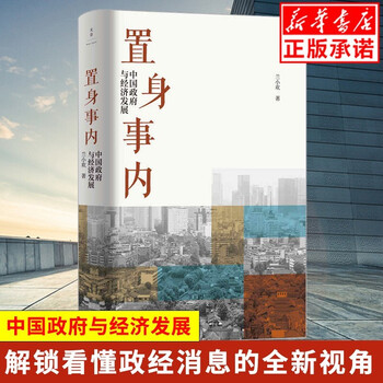 置身事内 中国政府与经济发展 兰小欢 上海人民 世纪文景罗永浩刘格菘张军周黎安王烁推荐中国发展地方