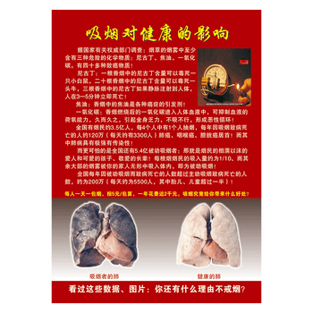 禁止吸烟标贴纸标语标识控烟禁烟公益广告文化招贴画挂图无烟校园宣传画覆膜防水贴纸TYH TYH01 吸烟有害健康 80*60厘米 覆膜防水PP贴纸
