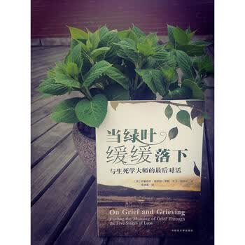 当绿叶缓缓落下