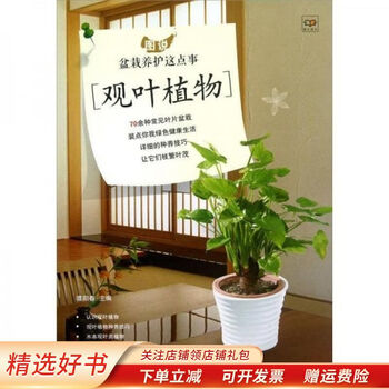 图说盆栽养护这点事：观叶植物 谭阳春