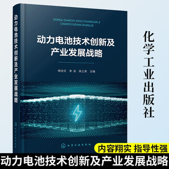 动力电池技术创新及产业发展战略 工业技术 能源与动力工程 化学工业出版社 杨全红