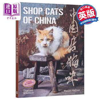 Shop Cats Of China 进口艺术 中国店猫咪 T&H