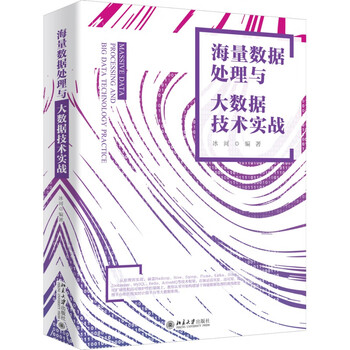 海量数据处理与大数据技术实战 北京大学旗舰店正版