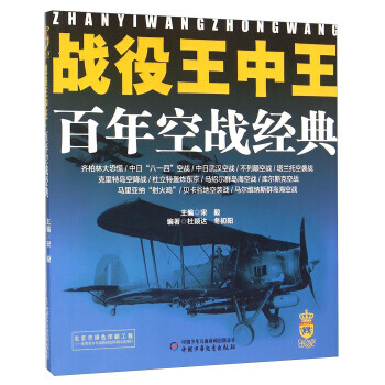 战役王中王 百年空战经典