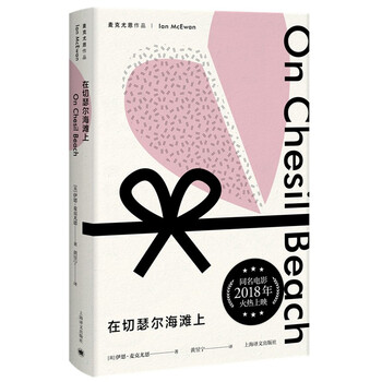 在切瑟尔海滩上 （麦克尤恩作品）