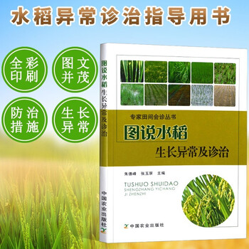 图说水稻生长异常及诊治 水稻高产种植书籍 水稻栽培种植技术 大米栽培种植书籍科学种植农作物 水稻生产技术