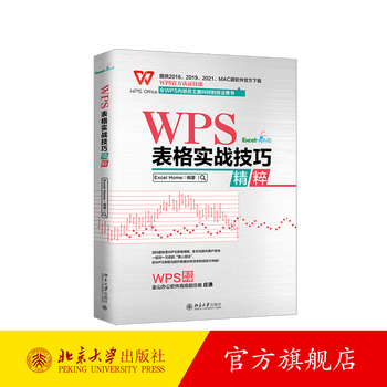WPS 表格实战技巧精粹 北京大学旗舰店正版
