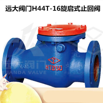 河北远大阀门H44T-10/16铸铁法兰旋启式铜芯卧式止回阀DN40-DN600 DN100PN10【图片 价格 品牌 报价】-京东