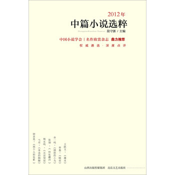 2012年中篇小说选粹段守新编