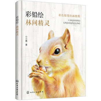 彩色铅笔绘画教程--彩铅绘——林间精灵