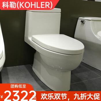 科勒K-3983T-S2-0K-4012T-S2-0瑞琦连体座便器马桶 K-3983T-S2-0 305mm【图片 价格 品牌 报价】-京东